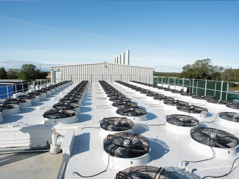 Forsa Energy - Pimbo Generation 20MW Peaking Plant