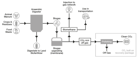 Carbon Capture Utilisation and Storage | CCUS | CO2 Recovery